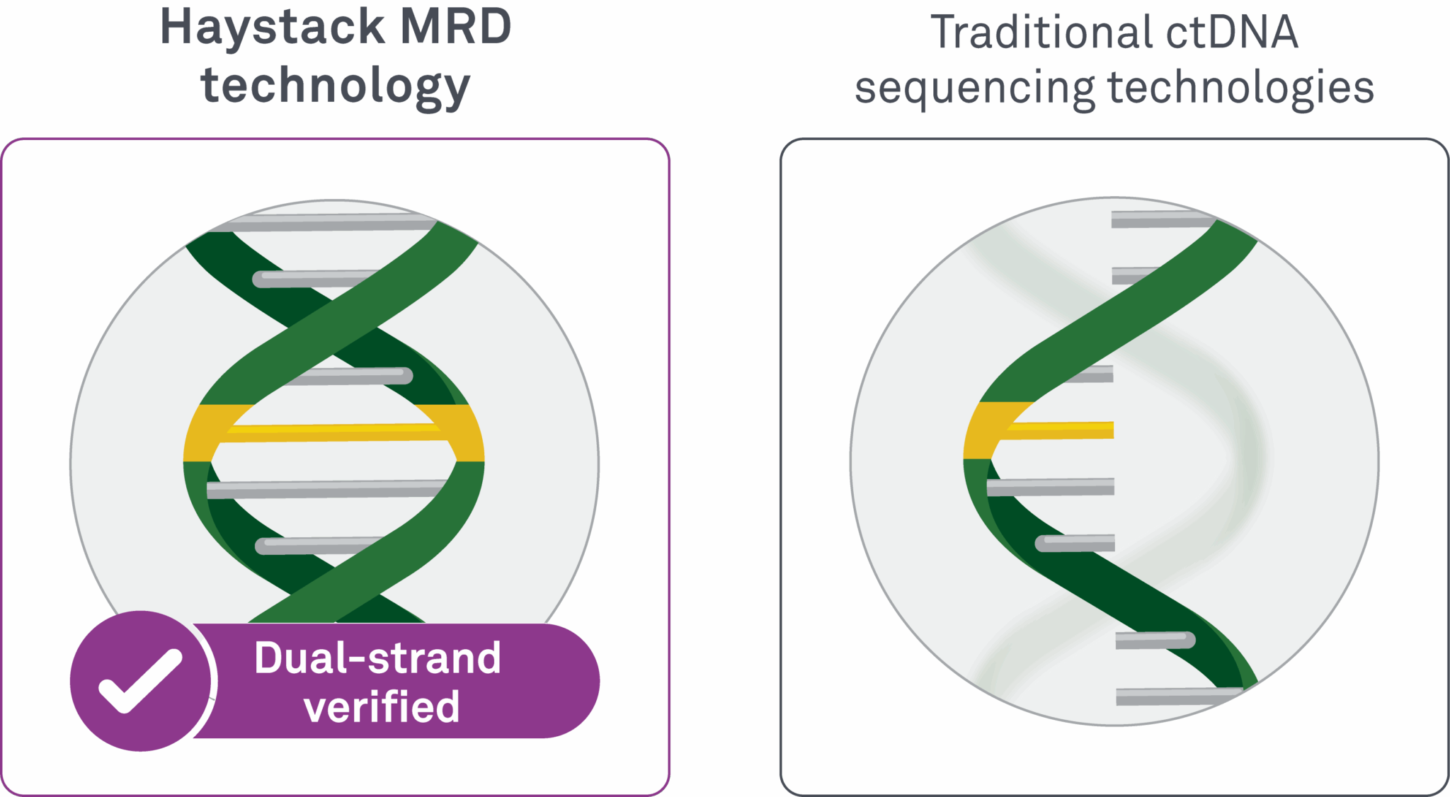 Home - Haystack MRD™